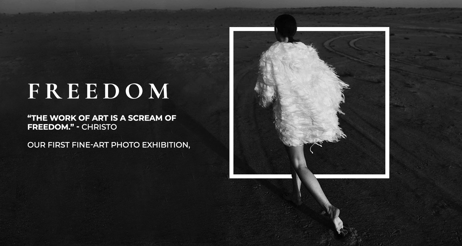 Freedom | MMG Art Gallery